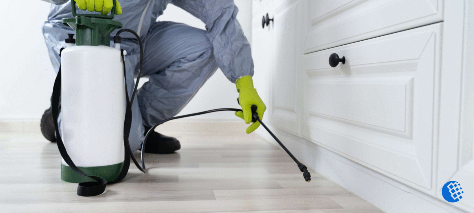 Exterminator Pest Control Chelmsford Reliable Solutions for Unwanted Pests