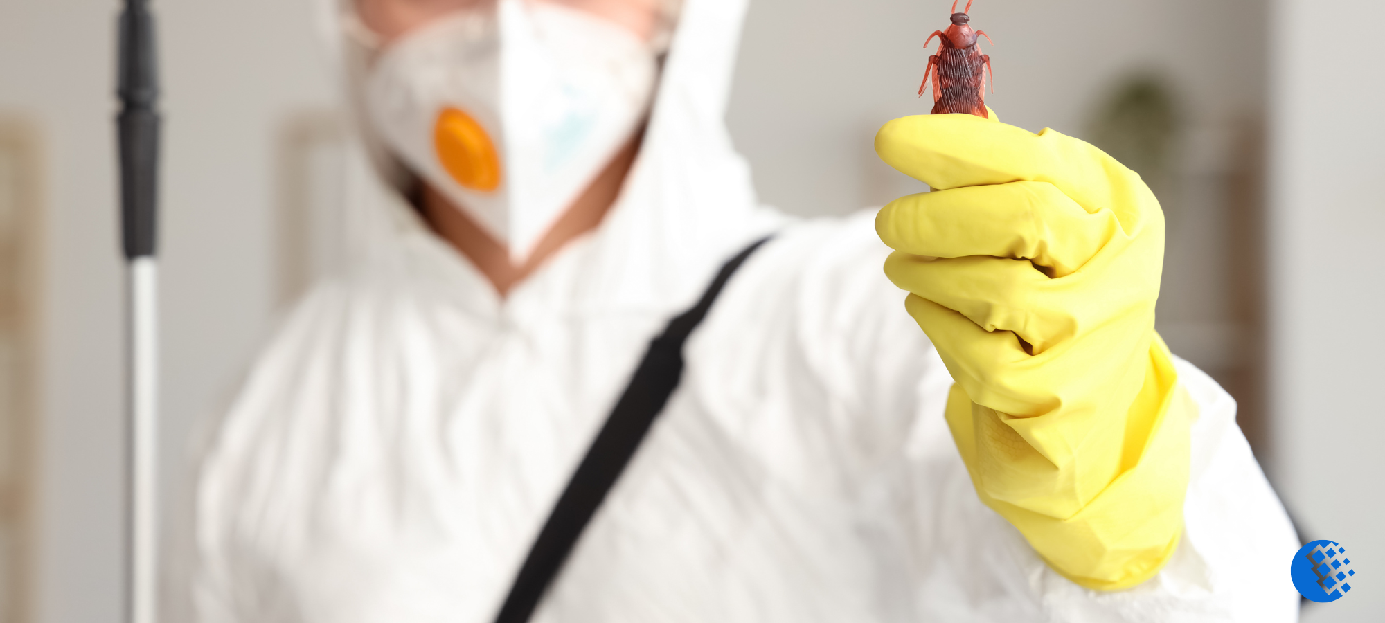 Seasonal Pest Challenges And How Pest Control Salisbury Tackles Them