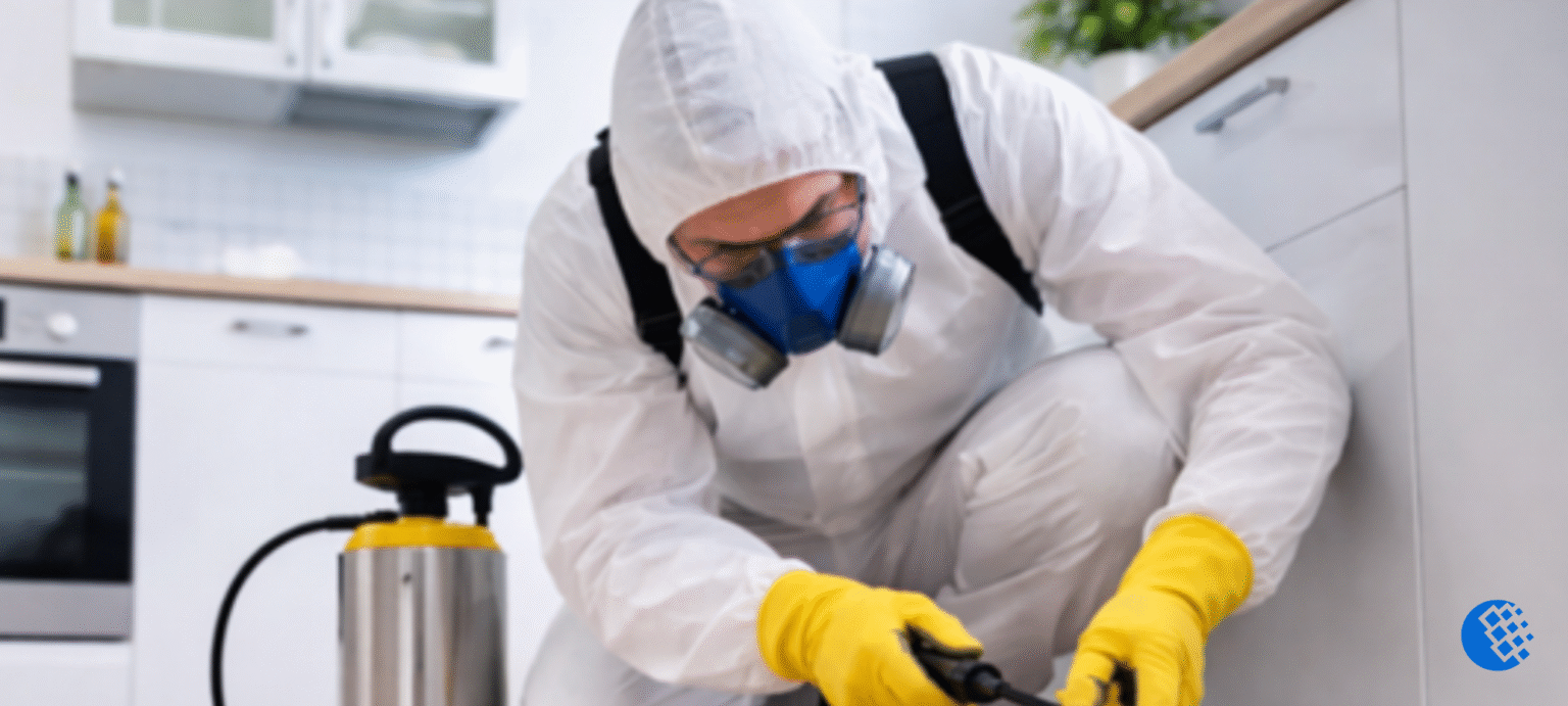 Why Pest Control Is a Critical Part of Home Maintenance